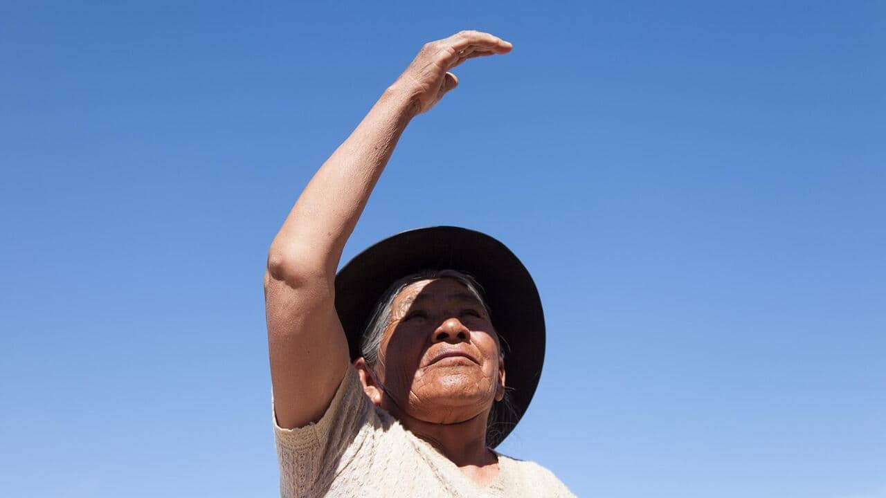 Utama (2023) - Film and sessions - Pathé Belgium